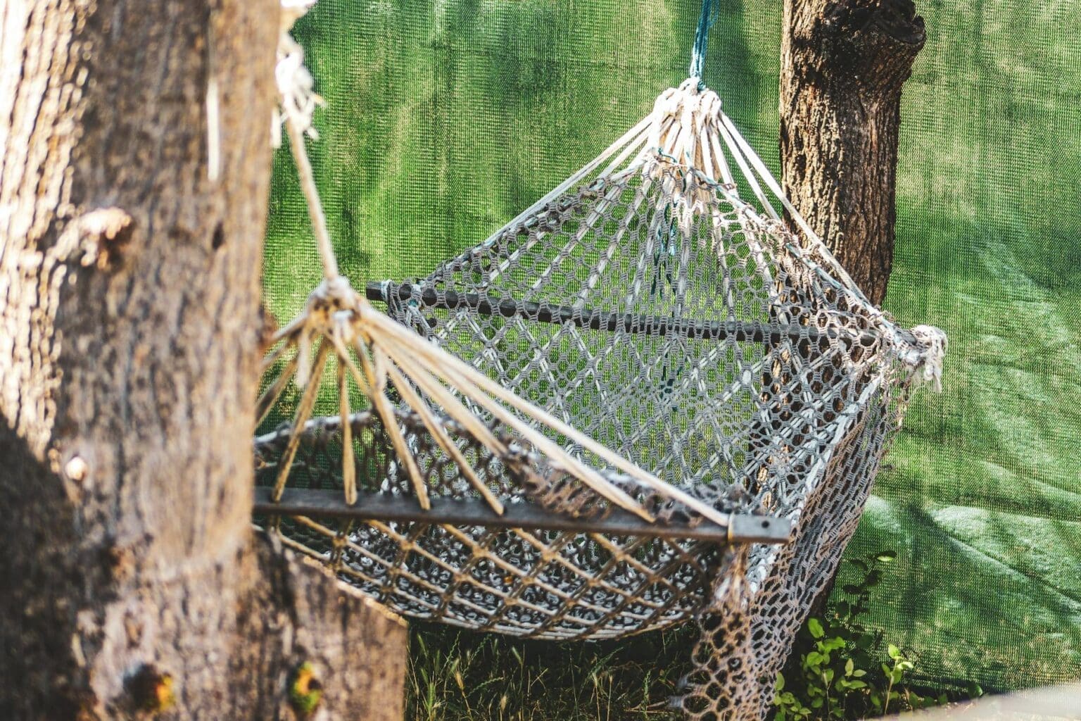 Backyard Design Ideas on a Budget | HomeFurnishings.com